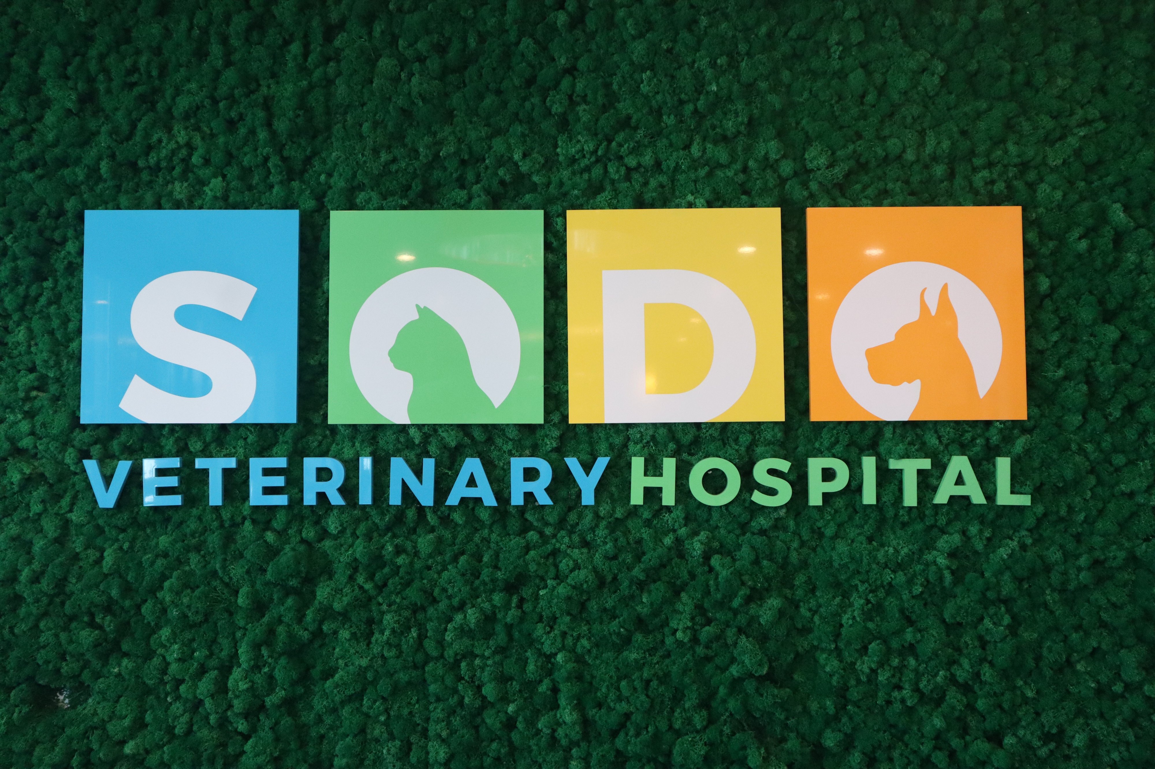 SODO Vet | Our Story