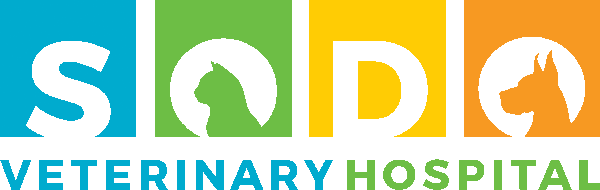 SODO Veterinary Hospital | Home