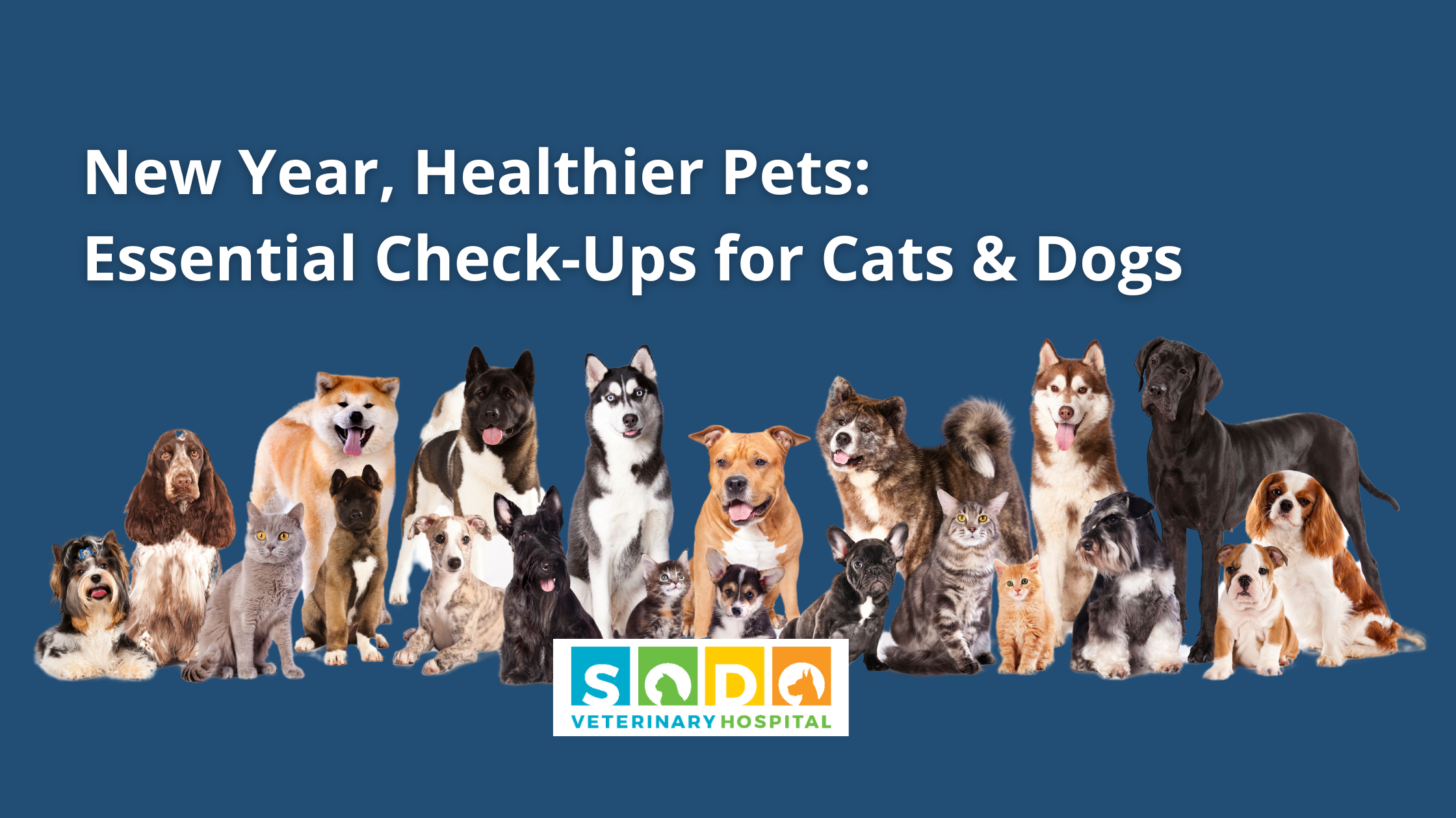 New Year, Healthier Pets: Essential Check-Ups for your Cat or Dog in 2024